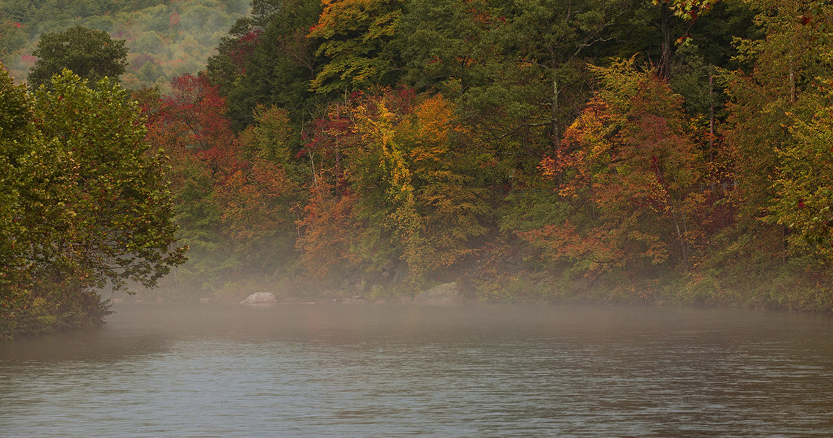 Wild & Scenic Westfield River | Protect, Restore & Discover the ...